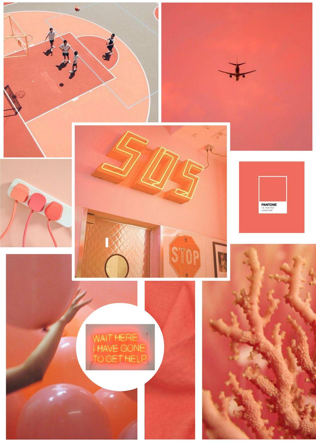 Unveiling the Power of living coral: Pantone's Color of the Year